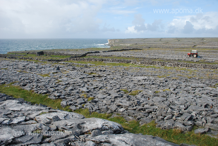 Aran Islands - Galway - Irland - Den grønne Ø